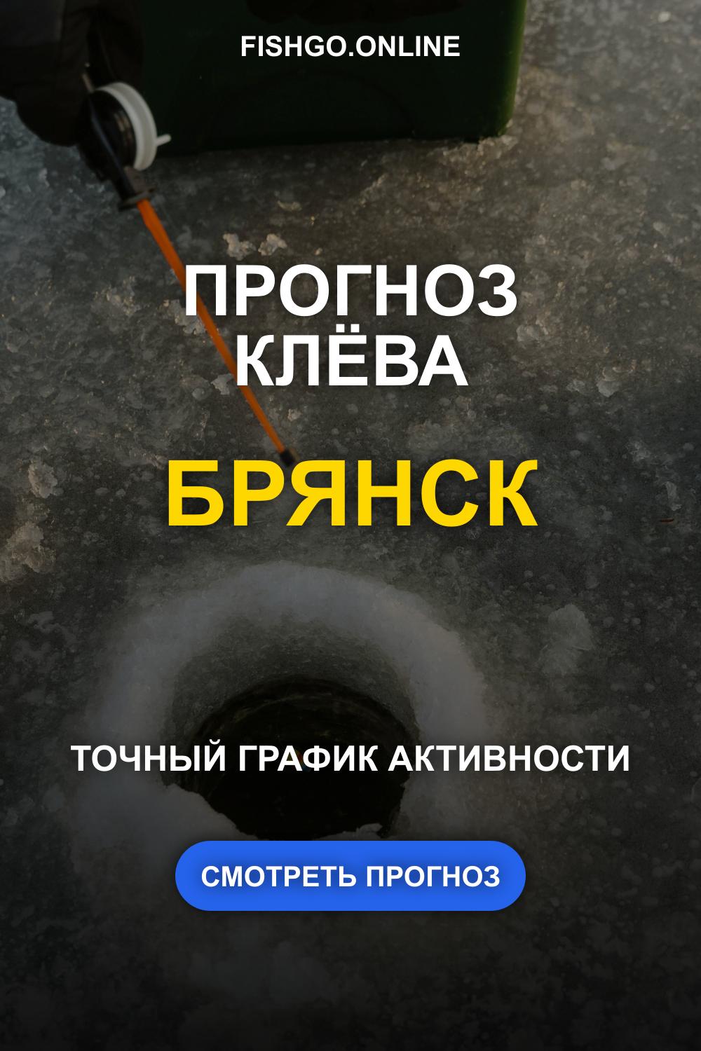 Рыбалка в Брянске — прогноз клёва рыбы на сегодня, завтра и 14 дней