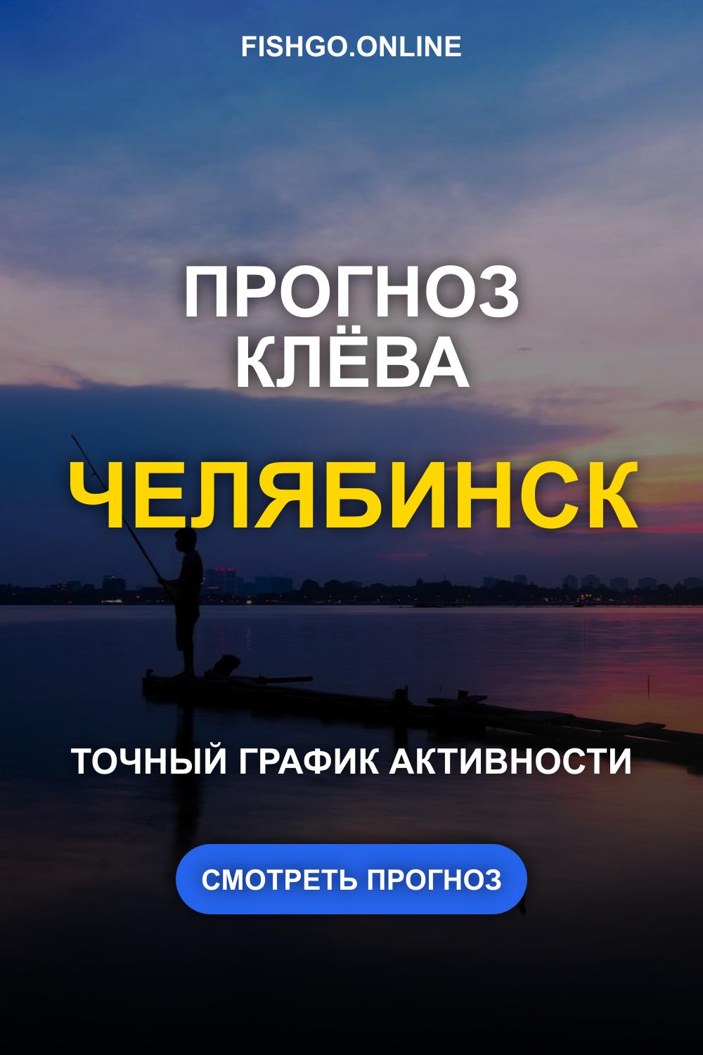 Рыбалка в Челябинске — прогноз клёва рыбы на сегодня, завтра и 14 дней