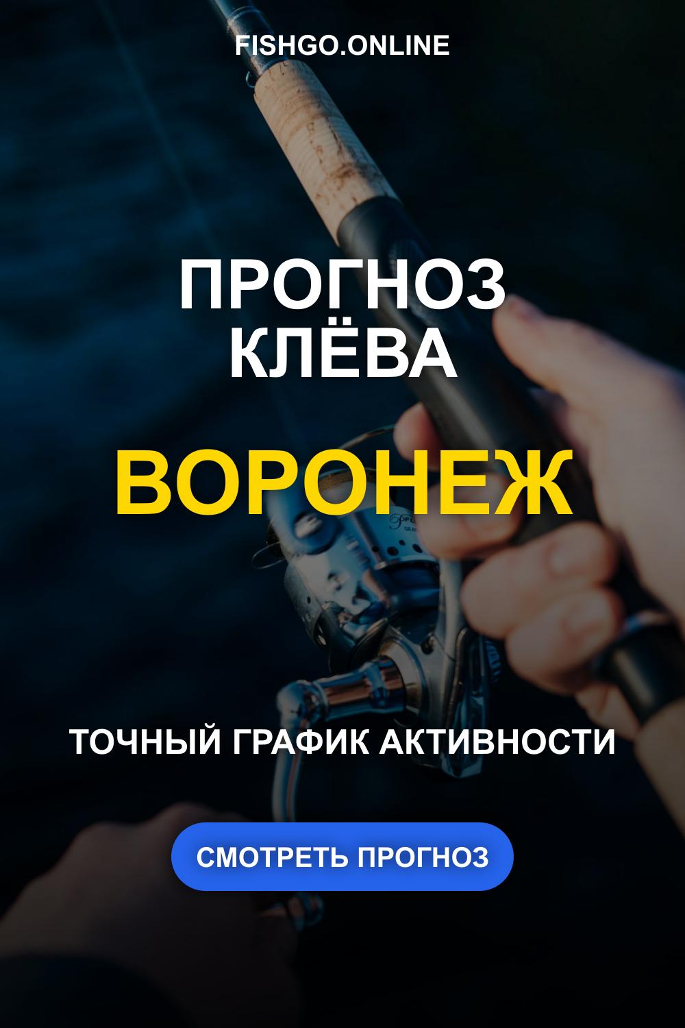 Рыбалка в Воронеже — прогноз клёва рыбы на сегодня, завтра и 14 дней